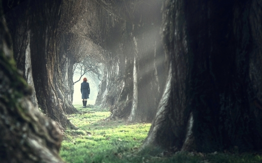'Instructions' a Poem by Neil Gaiman | Seven Steps to Writing Success