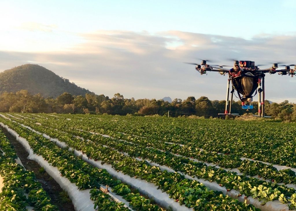 Informative Writing Prompts | Seven Steps to Writing Success