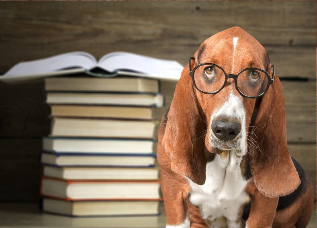 Narrative Writing Prompts | Seven Steps to Writing Success