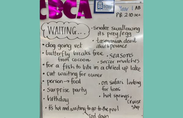 Book Week writing activities - Seven Steps to Writing Success