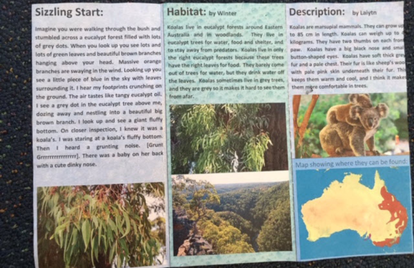 Transforming students' informative writing with the Seven Steps