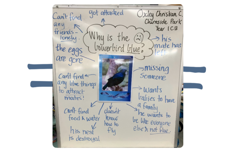 Seven Steps activities for Book Week 2024 - Ideas and activities