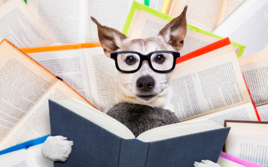 Reading to write with the Seven Steps